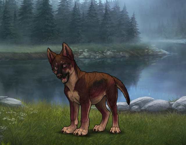 G3 biotite |:| Wolvden