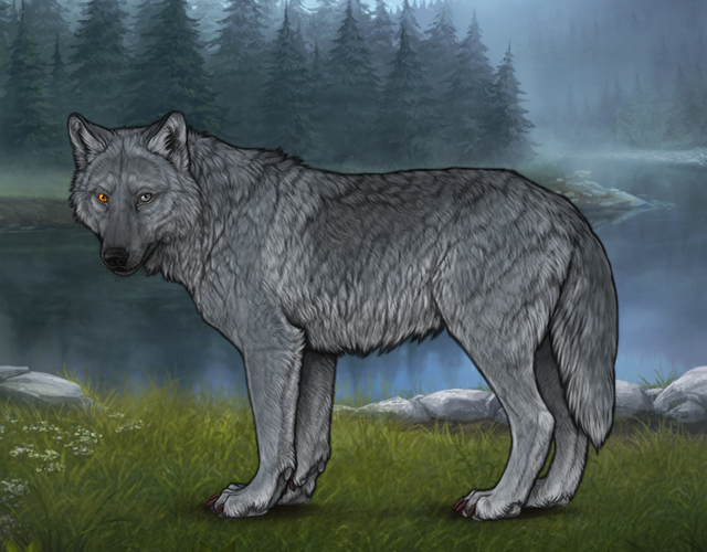 Quartz's storm|G2|T1 |:| Wolvden