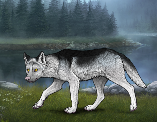 T3 | 7M - NIB G6 |:| Wolvden