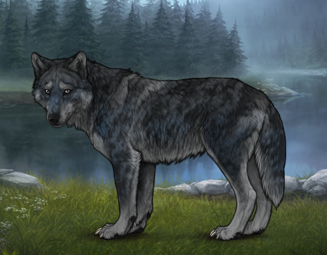 Moon Light |:| Wolvden