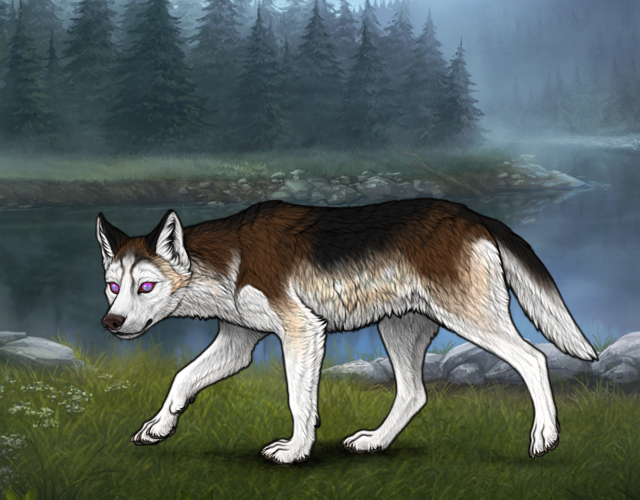 New Befriended Wolf |:| Wolvden