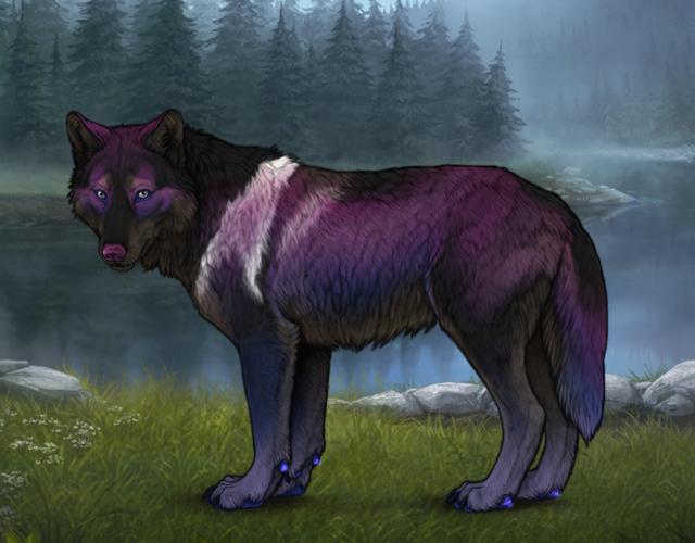 New Puppy T1 * |:| Wolvden