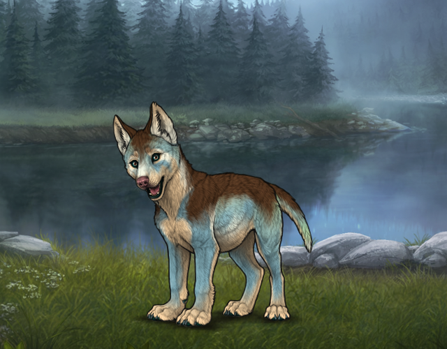 Chased Wolf Spotting - Revamped |:| Wolvden