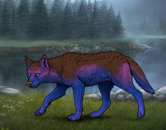 Chased Wolf Spotting - Revamped |:| Wolvden