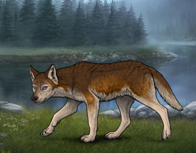 new purpy natural 6m |:| Wolvden