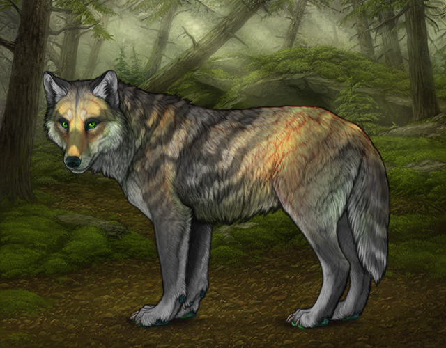 Dawns light |:| Wolvden