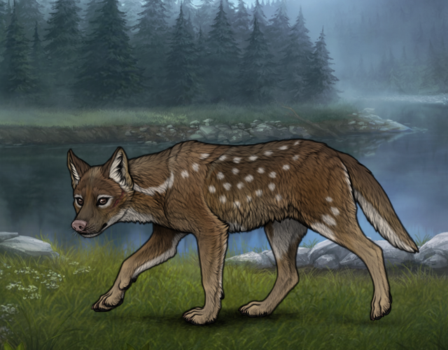 Wolvden