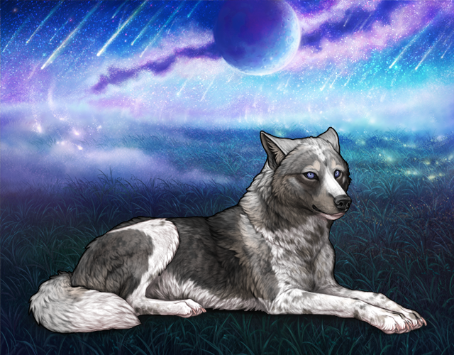 SnowDancer |:| Wolvden