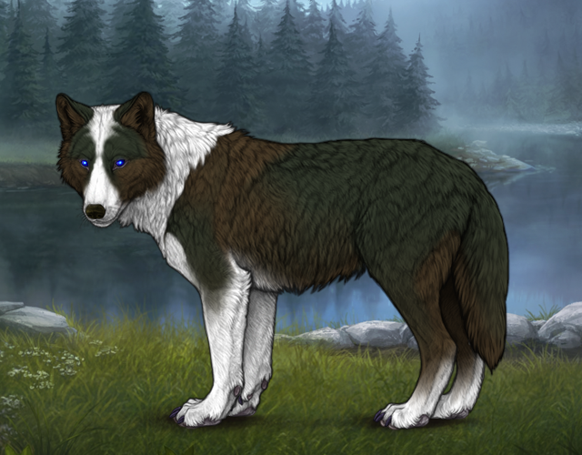 New Puppy |:| Wolvden