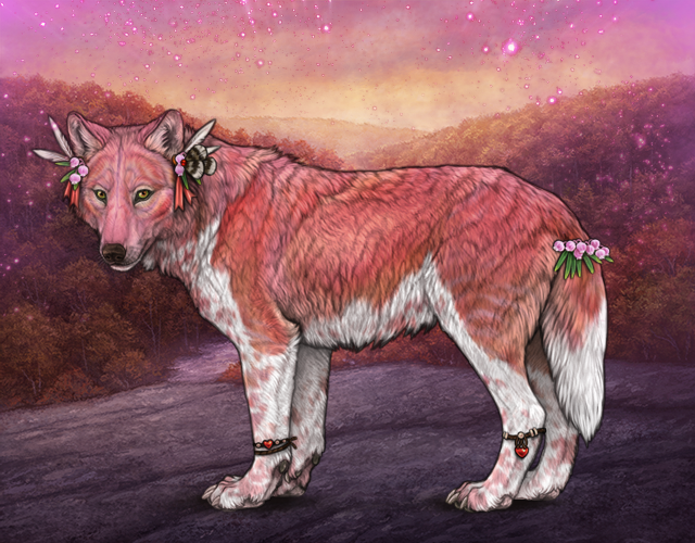 G6 6M F ZERDAVA |:| Wolvden