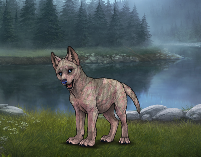 New Puppy |:| Wolvden