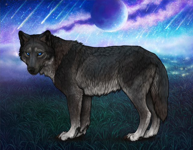 G1 Shep Heavy, Sallander |:| Wolvden