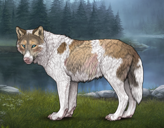 t1 6m pie |:| Wolvden