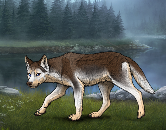 4m t2 M g2 akhlut lupos |:| Wolvden