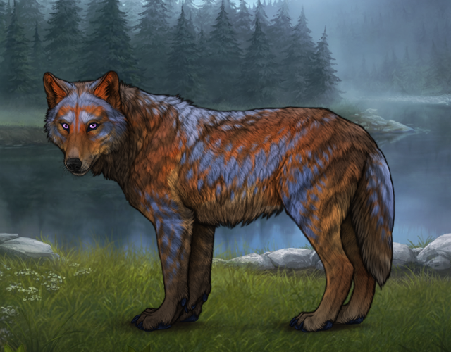 Jacek Montanaro |:| Wolvden