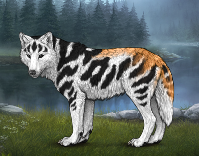 G2 Stalker 6m Streaks |:| Wolvden