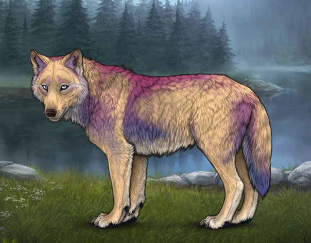 New Runt Puppy |:| Wolvden