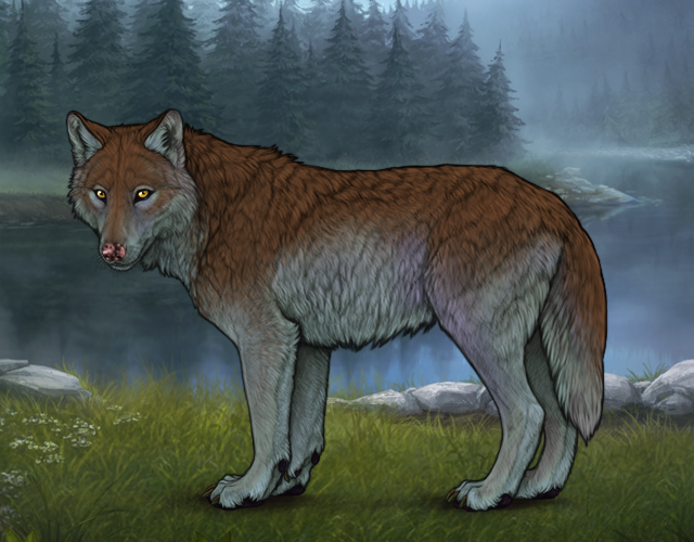 New Runt Puppy |:| Wolvden