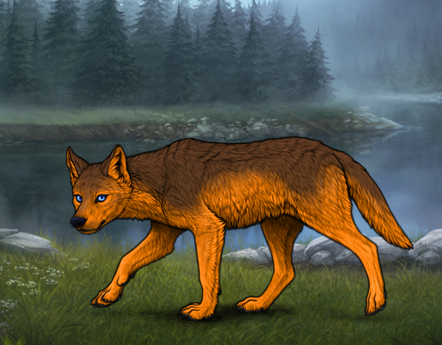 Apex base:) |:| Wolvden