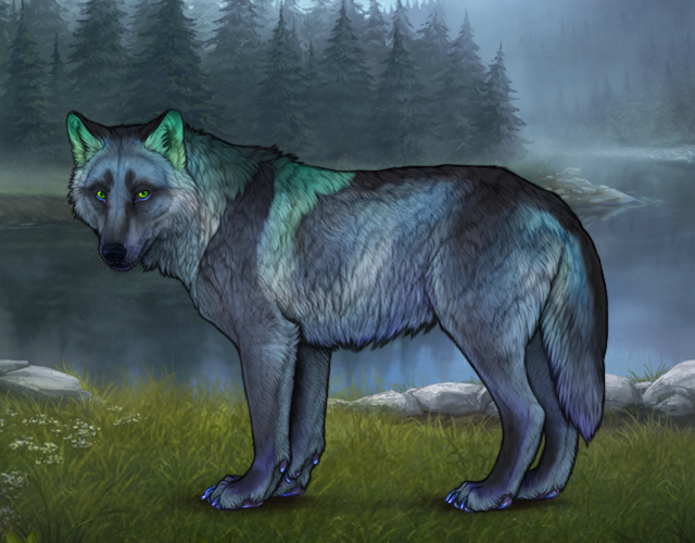 T2 7m (X1 Selunia) 4g |:| Wolvden