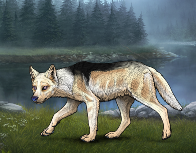 G3 7M Goldenrod |:| Wolvden