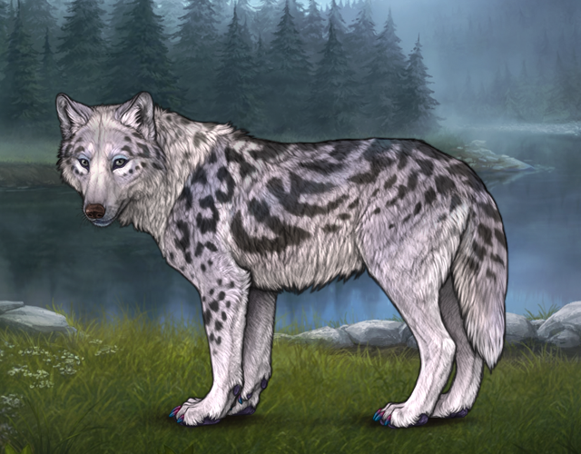 Lavender 6m T2 416stat |:| Wolvden