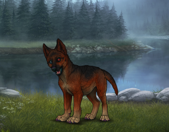 G2 Teardrop 1m |:| Wolvden