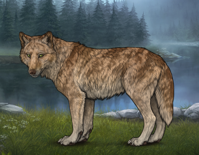 [PS] Sandy 6M 412 |:| Wolvden