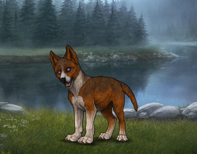 G3 WM T2 Storm 8m R&C |:| Wolvden