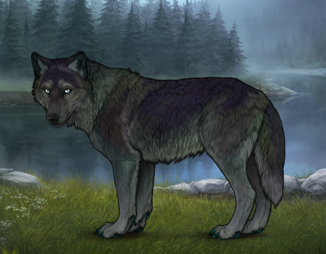 Abyssal (SpD*) 5m |:| Wolvden