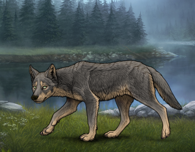 Meme (Stoic ) |:| Wolvden