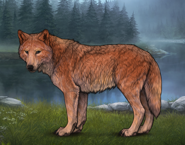 M Rust 2M. 243s |:| Wolvden