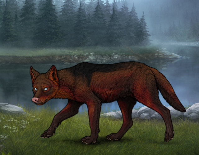 May keep |:| Wolvden