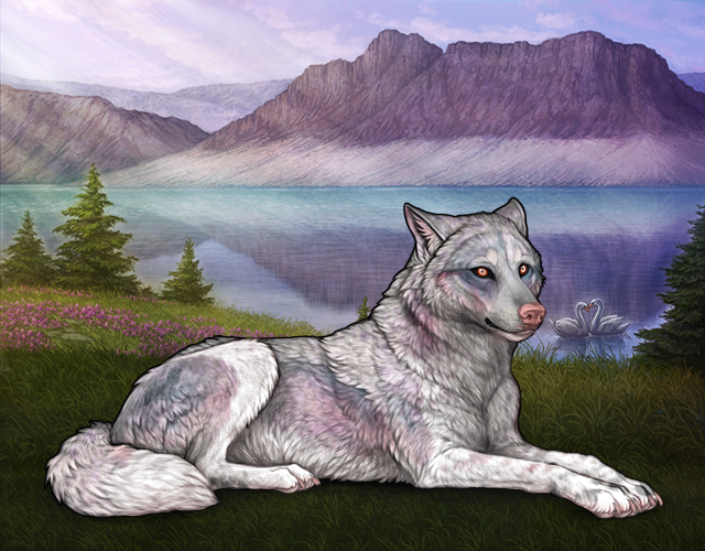 G5 Zerdava Rhudd |:| Wolvden