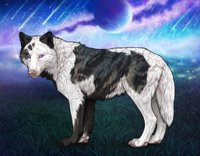 Night sky |:| Wolvden