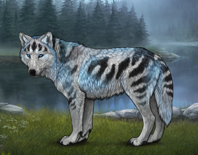 New Pup |:| Wolvden