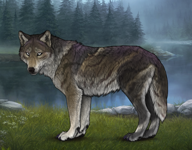 New Puppy |:| Wolvden