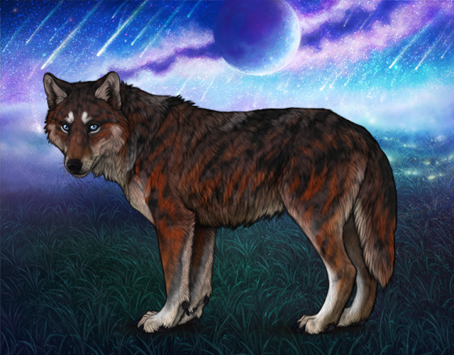 Chased Wolf Spotting - Revamped |:| Wolvden