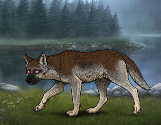 ALB CAR NATURAL |:| Wolvden