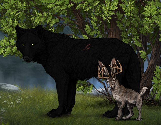 Summer Solstice |:| Wolvden