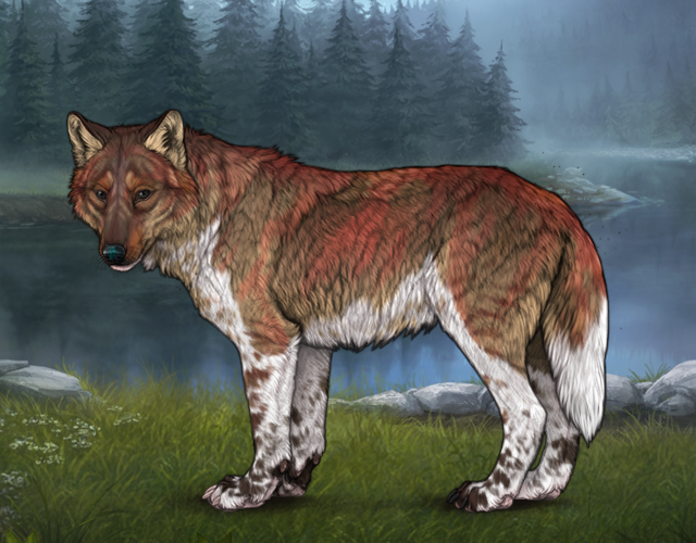 Piebald: Zerdava BLonde |:| Wolvden