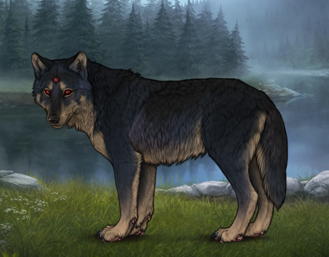 Chased Wolf Spotting - Revamped |:| Wolvden