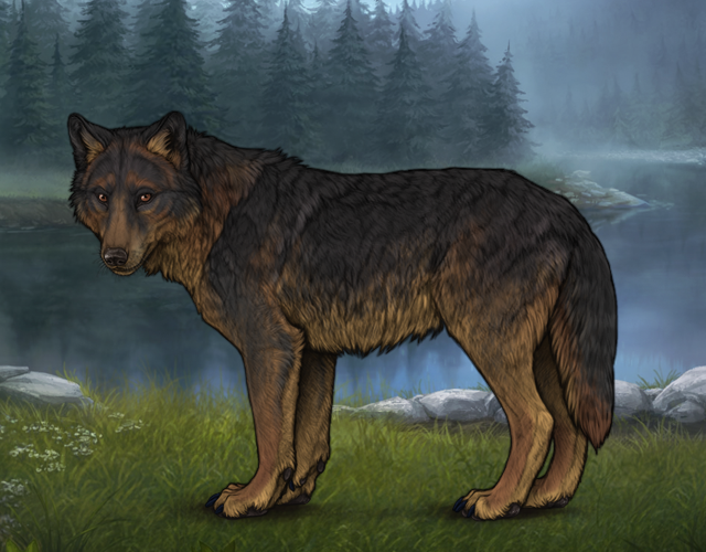 G3 Pretty Dark BLS |:| Wolvden