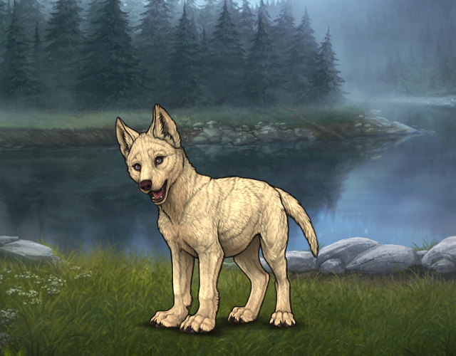 Male - puppy - 266 |:| Wolvden