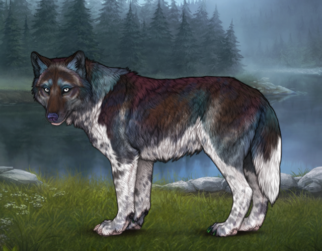 💫G2 Colorful Zerdava PIEBALD 💫 | T* Odium Base | 🎨 T3 Marks | 💚 Mint Eyes |:| Wolvden
