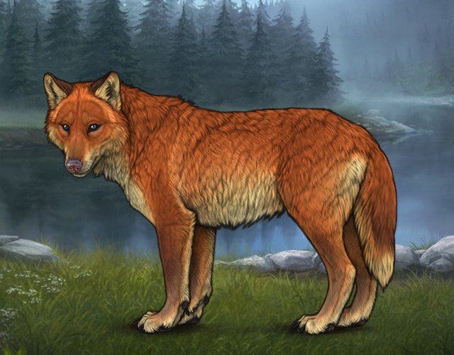 G2 storm fox 2m |:| Wolvden