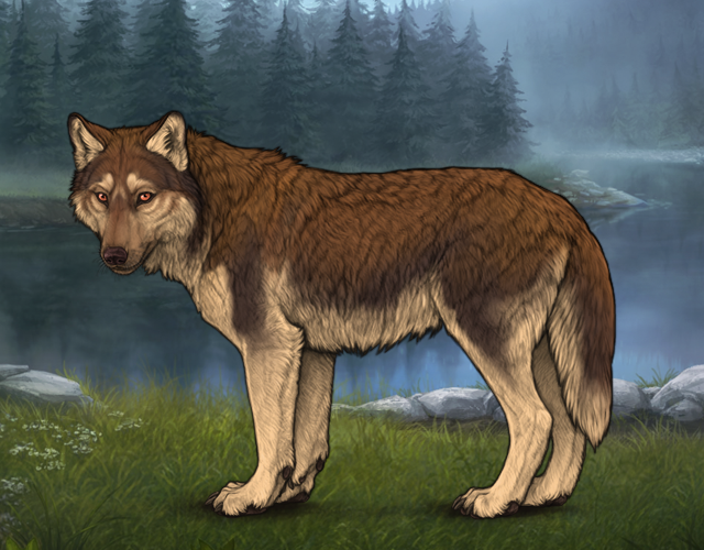 Chestnut base F |:| Wolvden