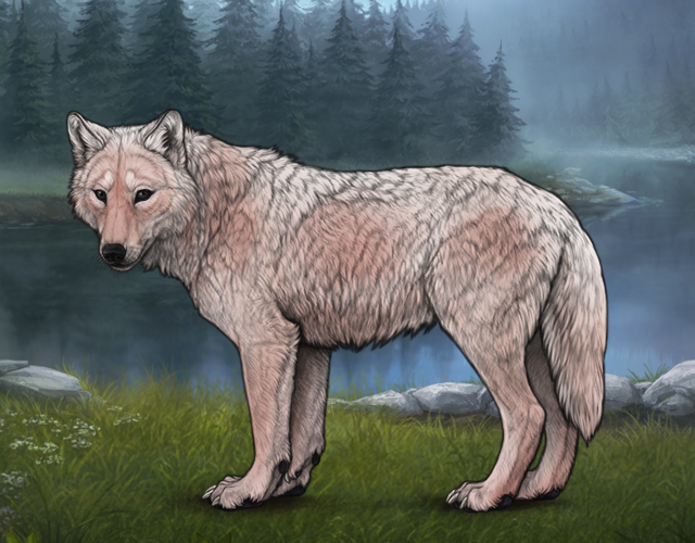 looking for: natural, pretty, "cohesive" wolves, any bases! (especially ...