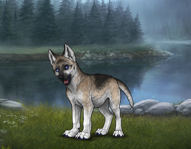 New Puppy |:| Wolvden