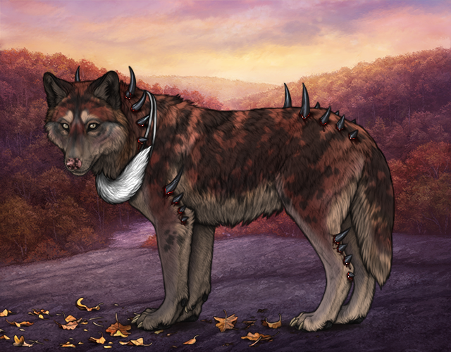Chased Wolf Spotting - Revamped |:| Wolvden